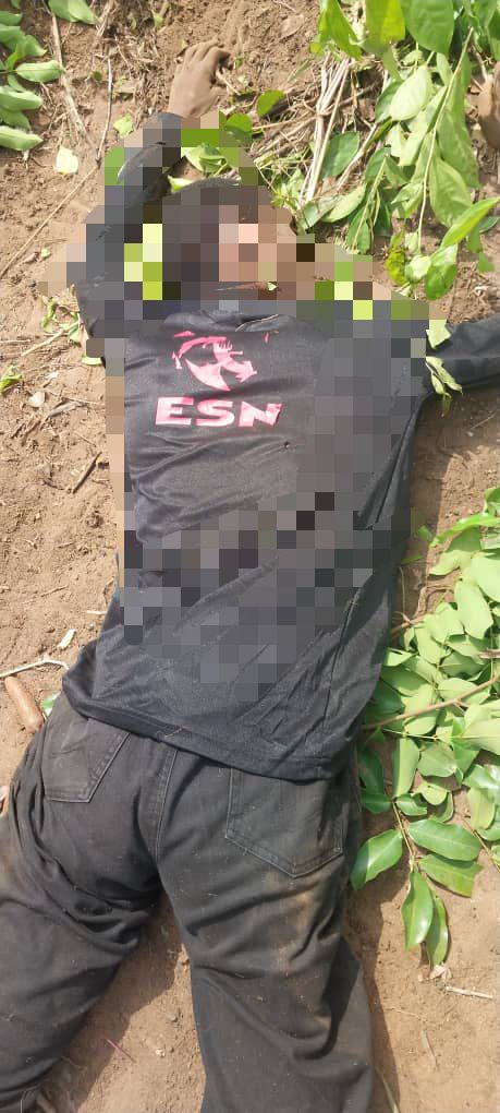 Terrorism: Police Neutralize ESN Kingpins, Destroy Camps, Recover Dangerous Weapons, Others ...